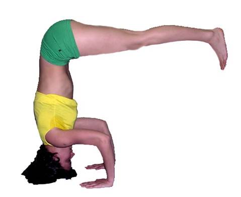 Diccionario de Posturas :: Escueladeyoga